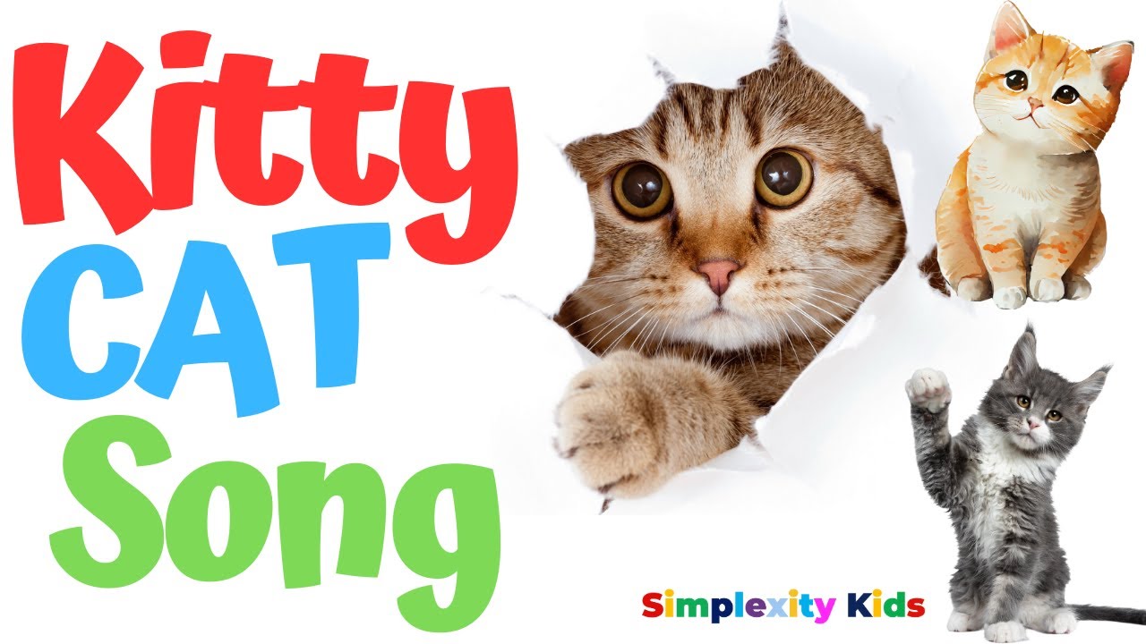 The Kitty Cat Song For Toddlers (Fun Song) #kittycatsong #cats - YouTube