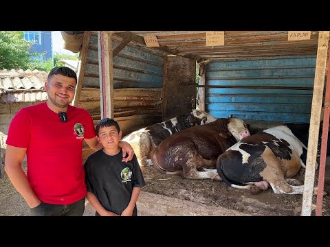 KURBANLIK BAKIMI #7 2024