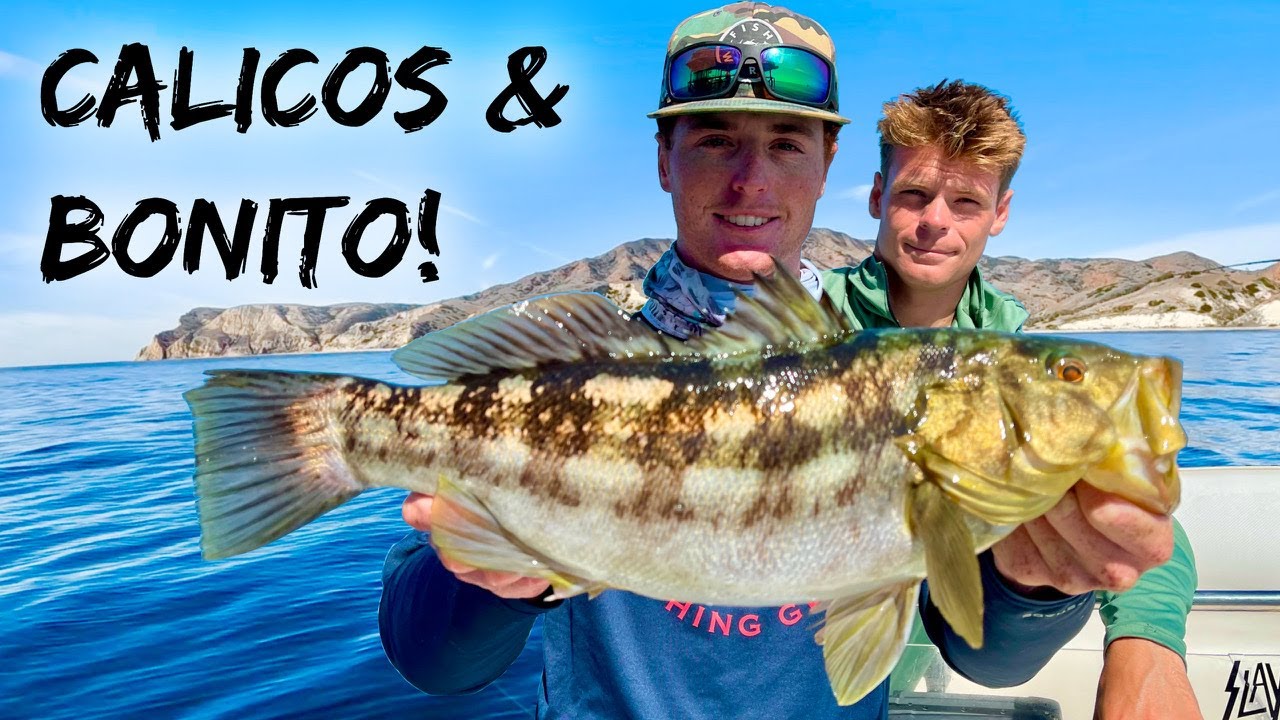 Surface Fishing Calico & Bonito at the Channel Islands! - YouTube