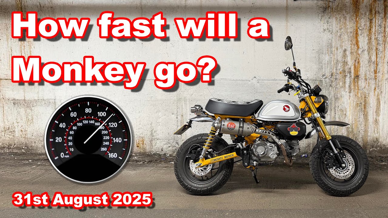 How fast will a Honda Monkey go? - YouTube