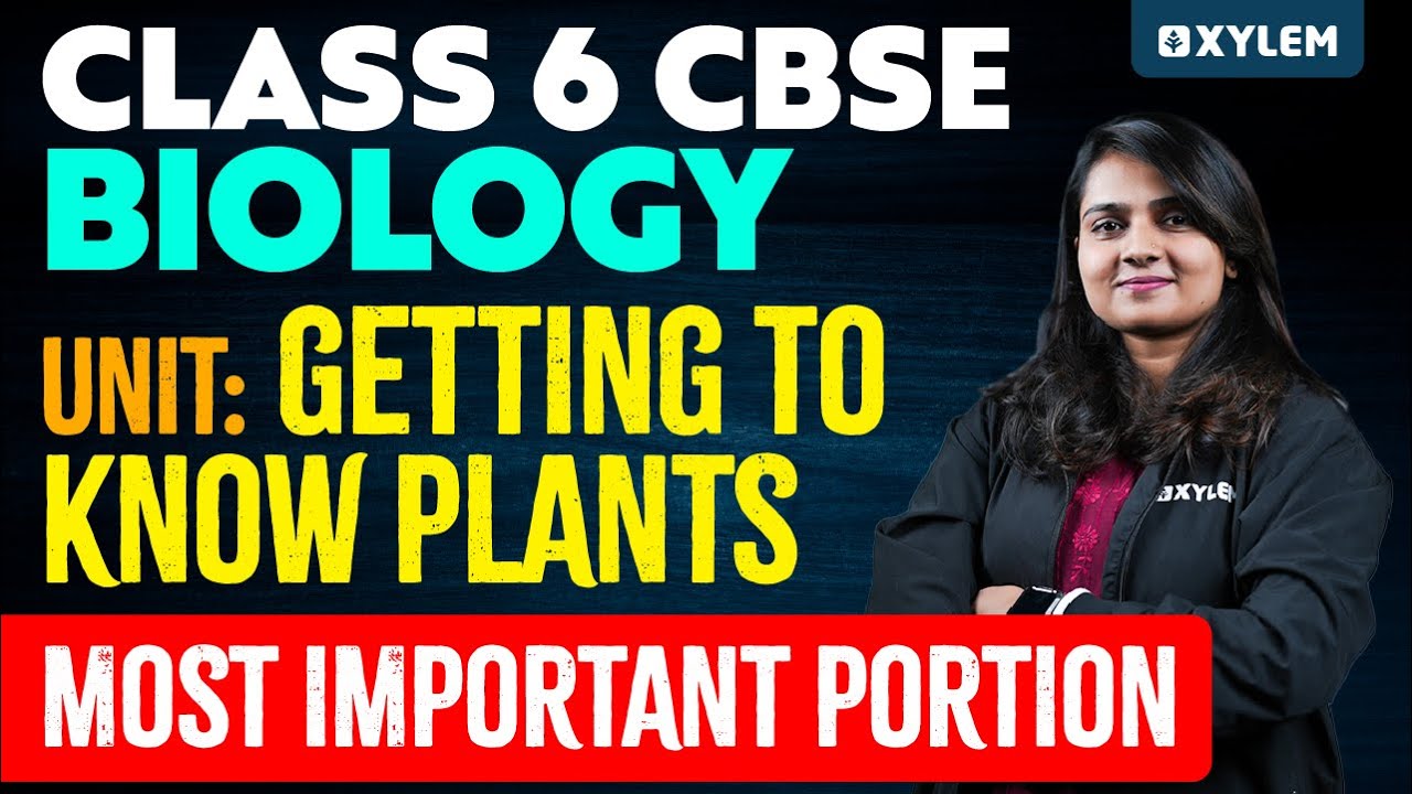 Class 6 CBSE Biology | Unit : Getting to know Plants - Most Important ...