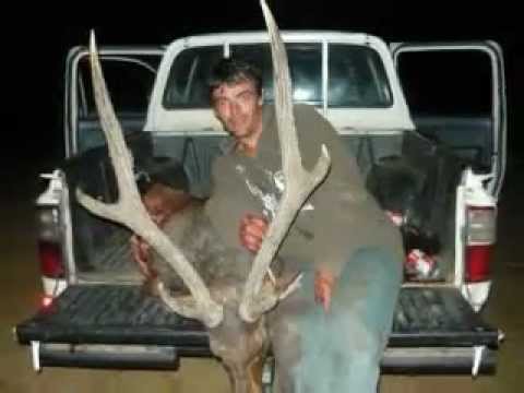 chasse cerf Nouvelle Calédonie rusa deer - YouTube
