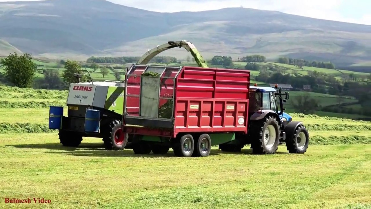 Silaging in the SUN ! Two Choppers and Loads of Tractors. - YouTube