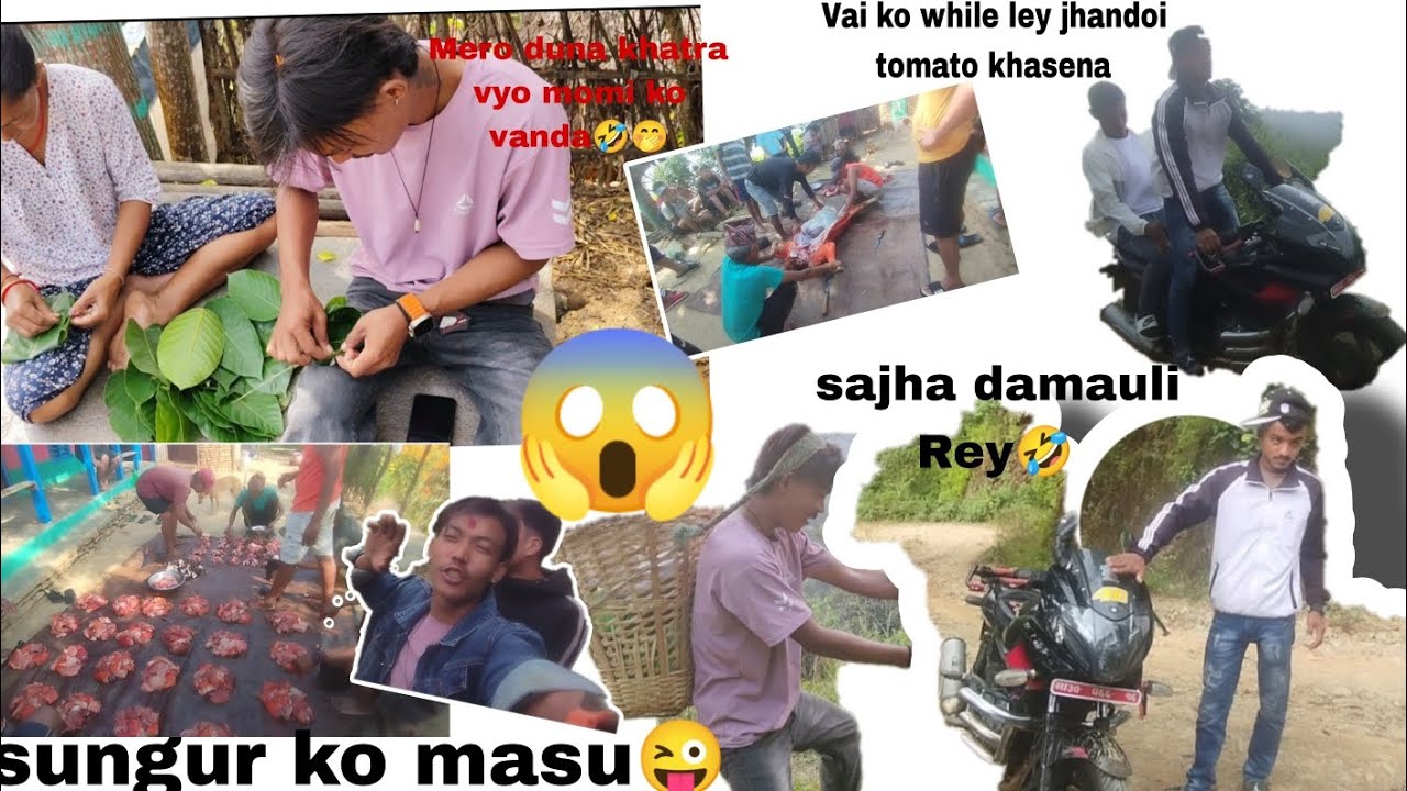 Gau tira sungur katkut garna hie ta of Road Vai ley tamato khasni ...