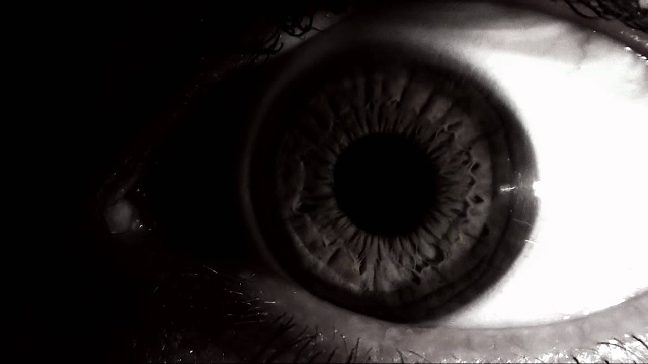 MISHA - Official Trailer [HD] - YouTube