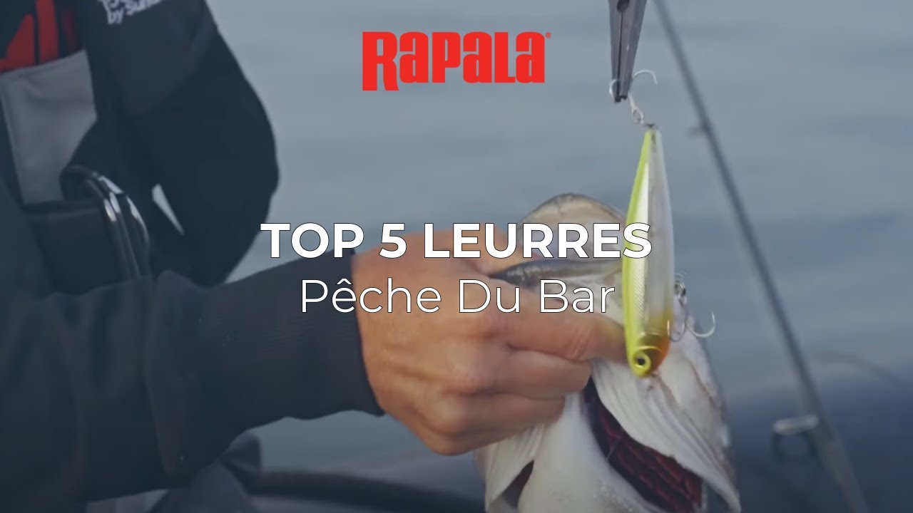 Quels Rapala pour pêcher le Bar ? Top 5 Leurres - YouTube