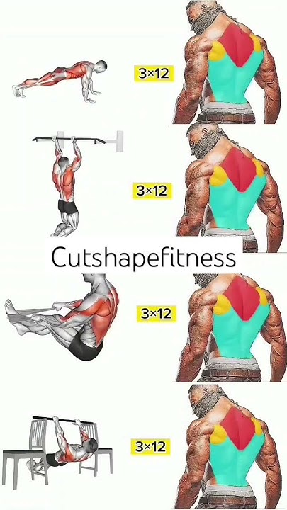The Perfect Back Workout🔥💪 Back Workout At Gym Shorts Fitness Backworkout Youtube