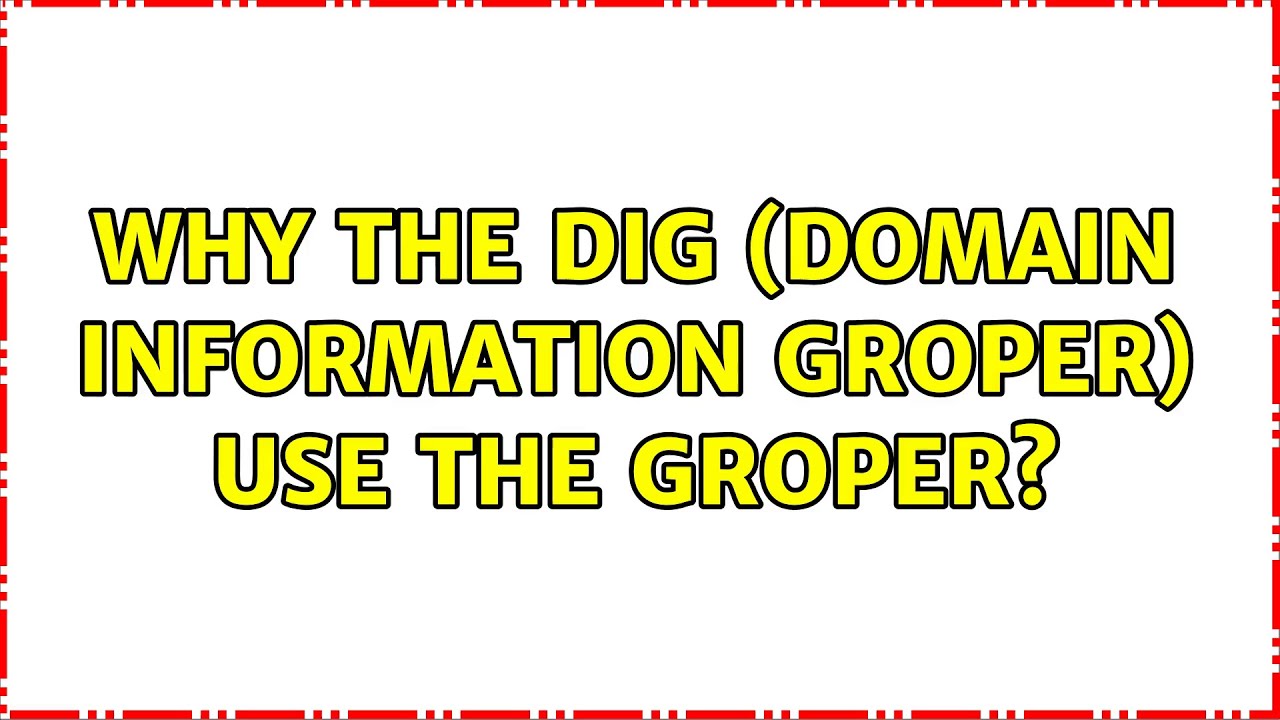 Why the dig (Domain Information Groper) use the Groper? - YouTube