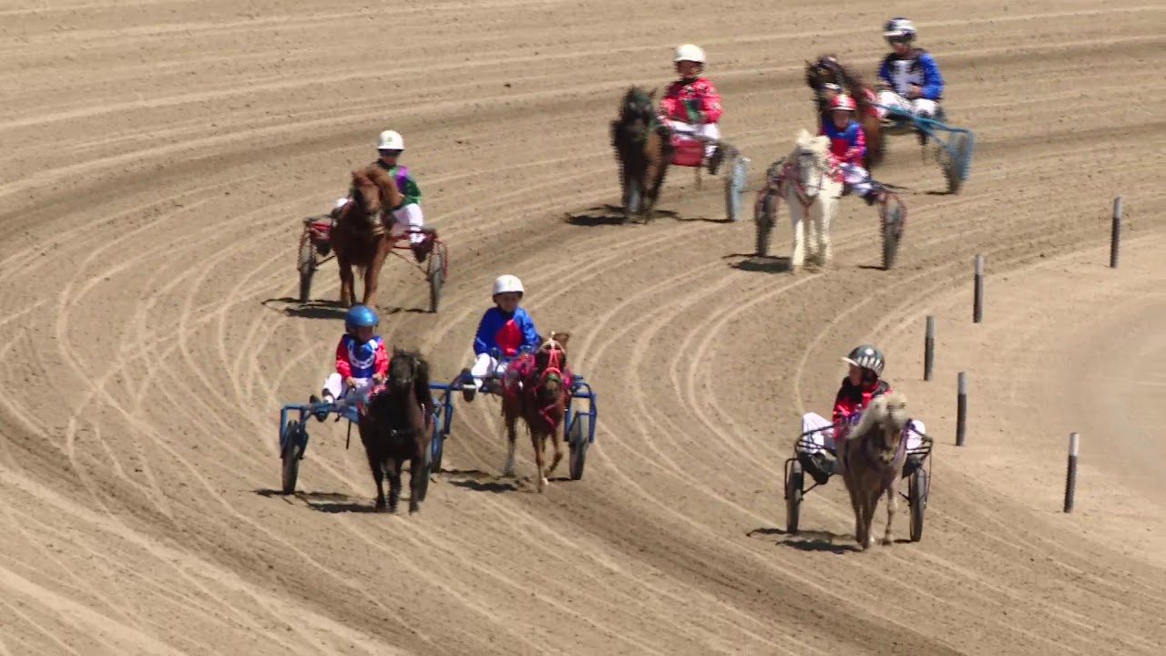 MINI TROTS 1 - MENANGLE - YouTube