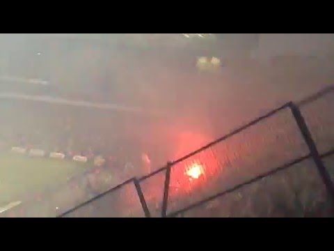 Kadıköy'de yemyeşil inciler :)