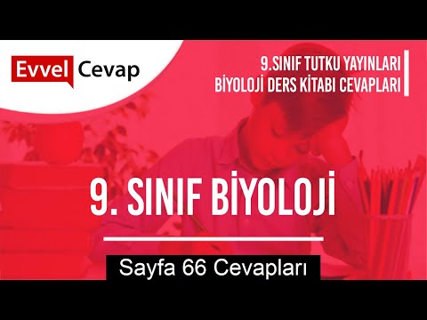 9. Sınıf Biyoloji Tutku Yayıncılık Ders Kitabı Cevapları Sayfa 66
