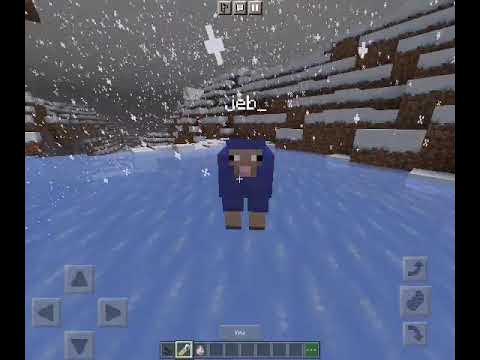 радужная овца..... - YouTube