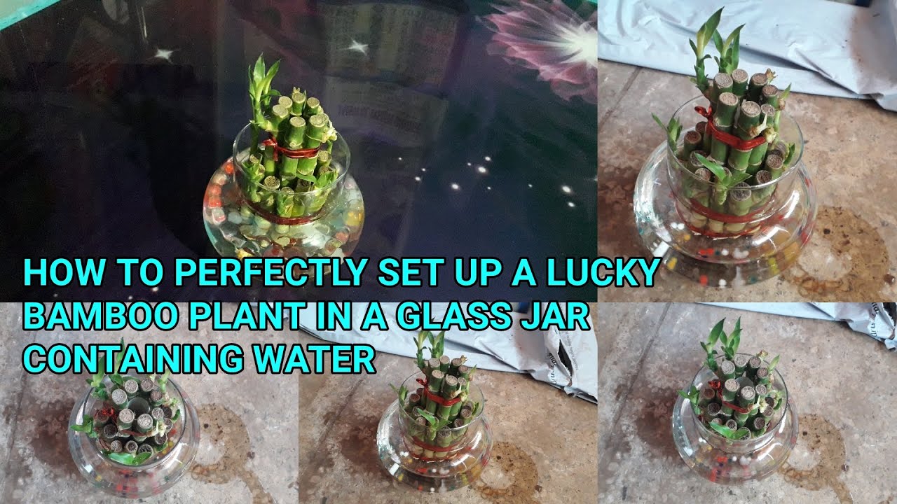 Diy Bamboo Stalk Arrangement