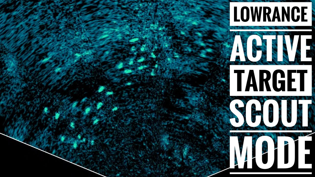 Lowrance Active Target - Scout Mode Striper Fishing on the California ...