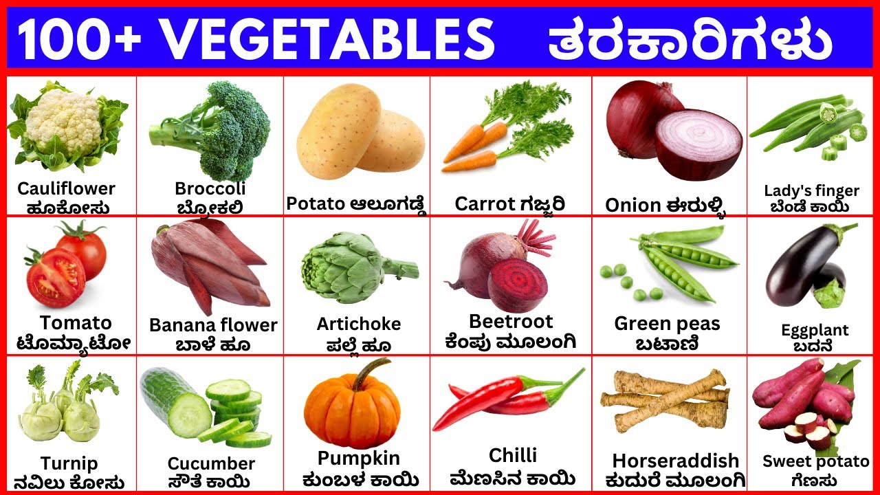 Vegetables | ತರಕಾರಿಗಳು | English words | vocabulary words | kannada to ...