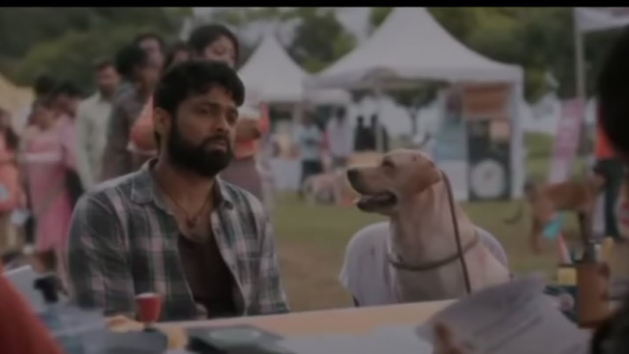 Charlie 777 best scene in movie ️ - YouTube