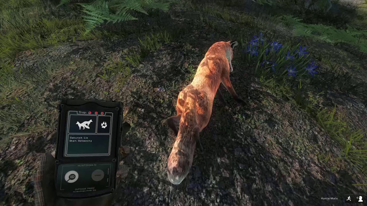 Red Fox 225m .17 HMR Lever Action Rifle Hunter Classic - YouTube