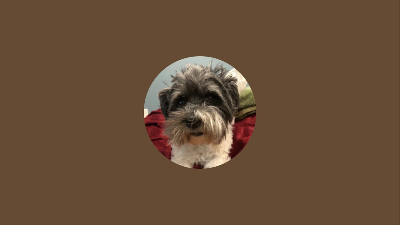 Metro 18N vs RoVo JRs 17U - YouTube