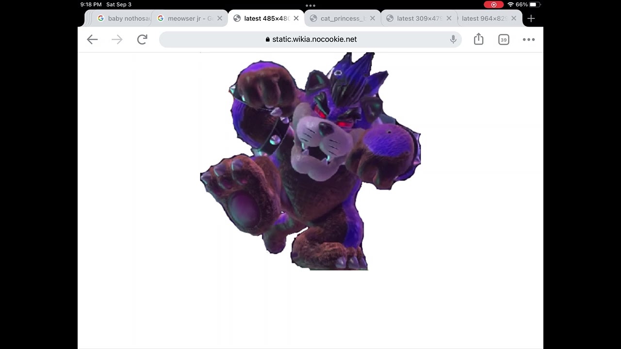 What is Dark Meowser saying? #1 - YouTube