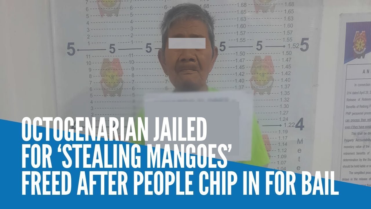 Octogenarian jailed for ‘stealing mangoes’ freed after people chip in ...