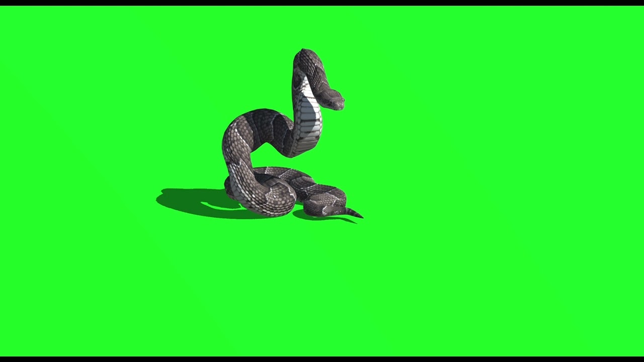 shank Green Screen effects - YouTube