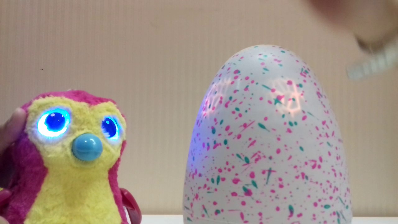 Hatchimal Part 1 - YouTube