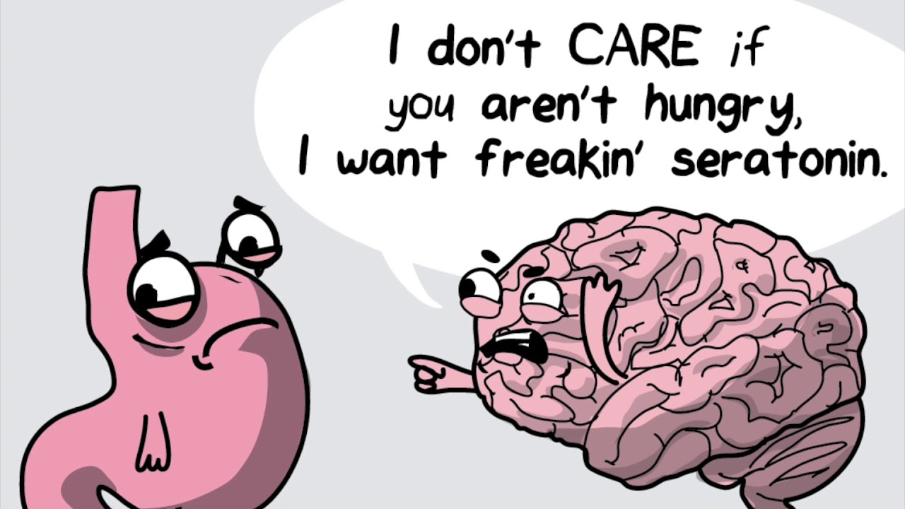 LSD Mechanism of Action - YouTube