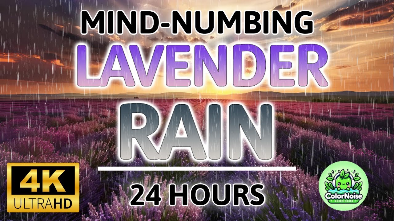 BLACK SCREEN | 24 HOURS | Soothing Lavender Rain Noise | Unwind, relax ...