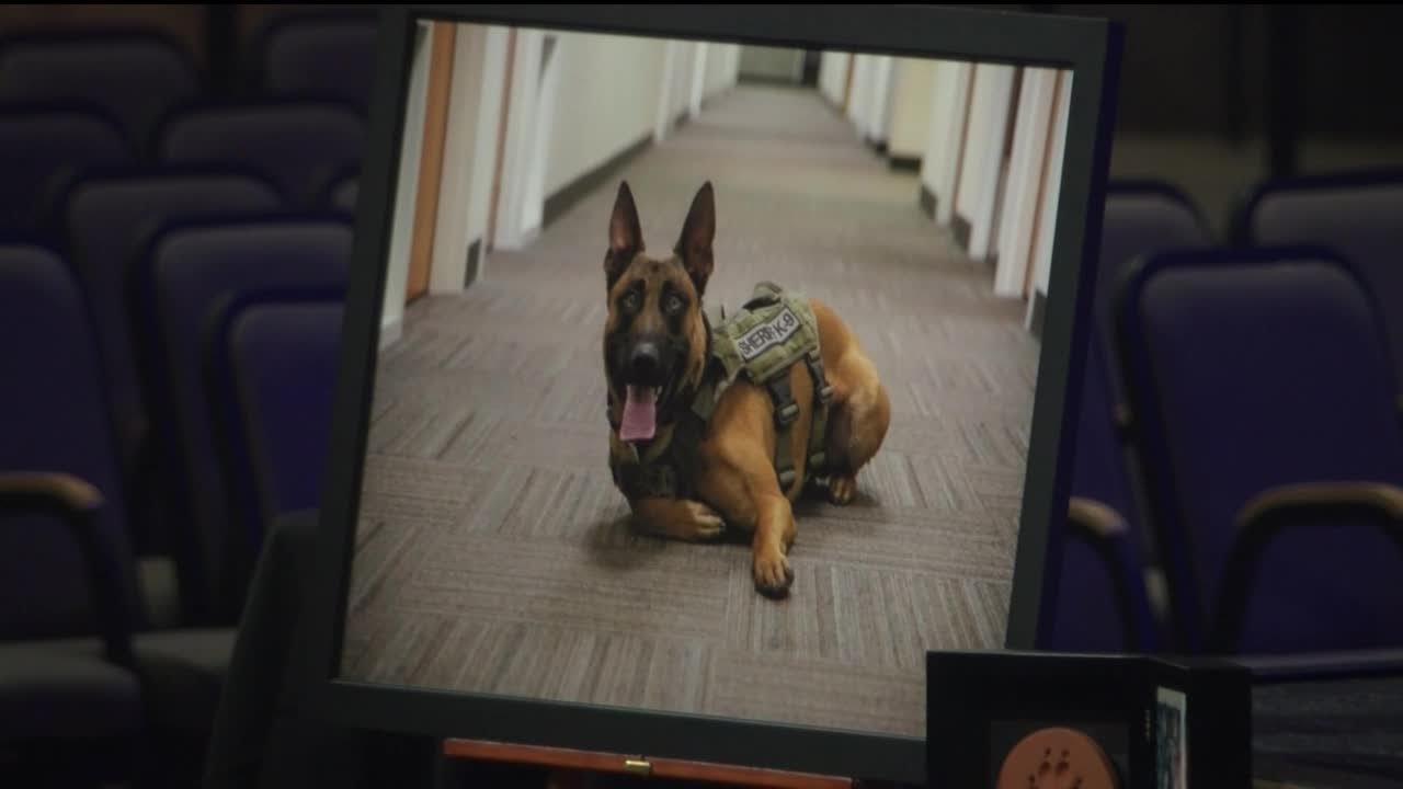 Colorado Springs pays tribute to K9 Officer Jinx - YouTube