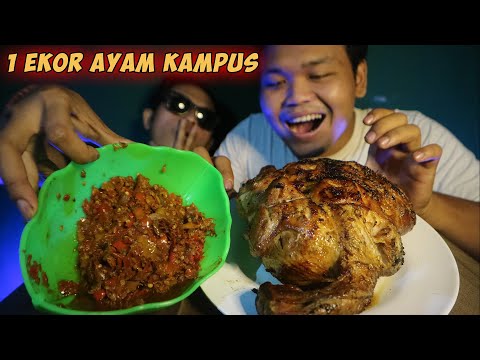 Mukbang Ayam Kampus!!!