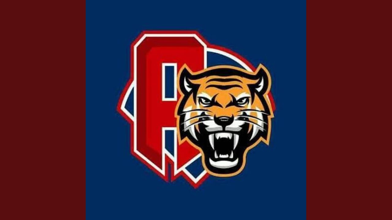 Tigres de Aragua con salsa seran campeon - YouTube