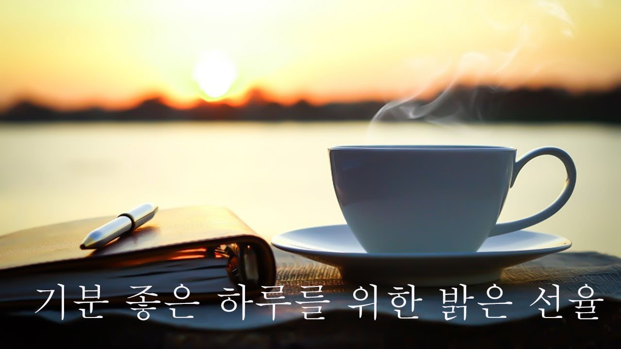기분 좋은 하루를 위한 밝은 선율🌄아름다운 아침 피아노음악 힐링트리뮤직 명상음악 수면 불면증 치료음악 요가 할때