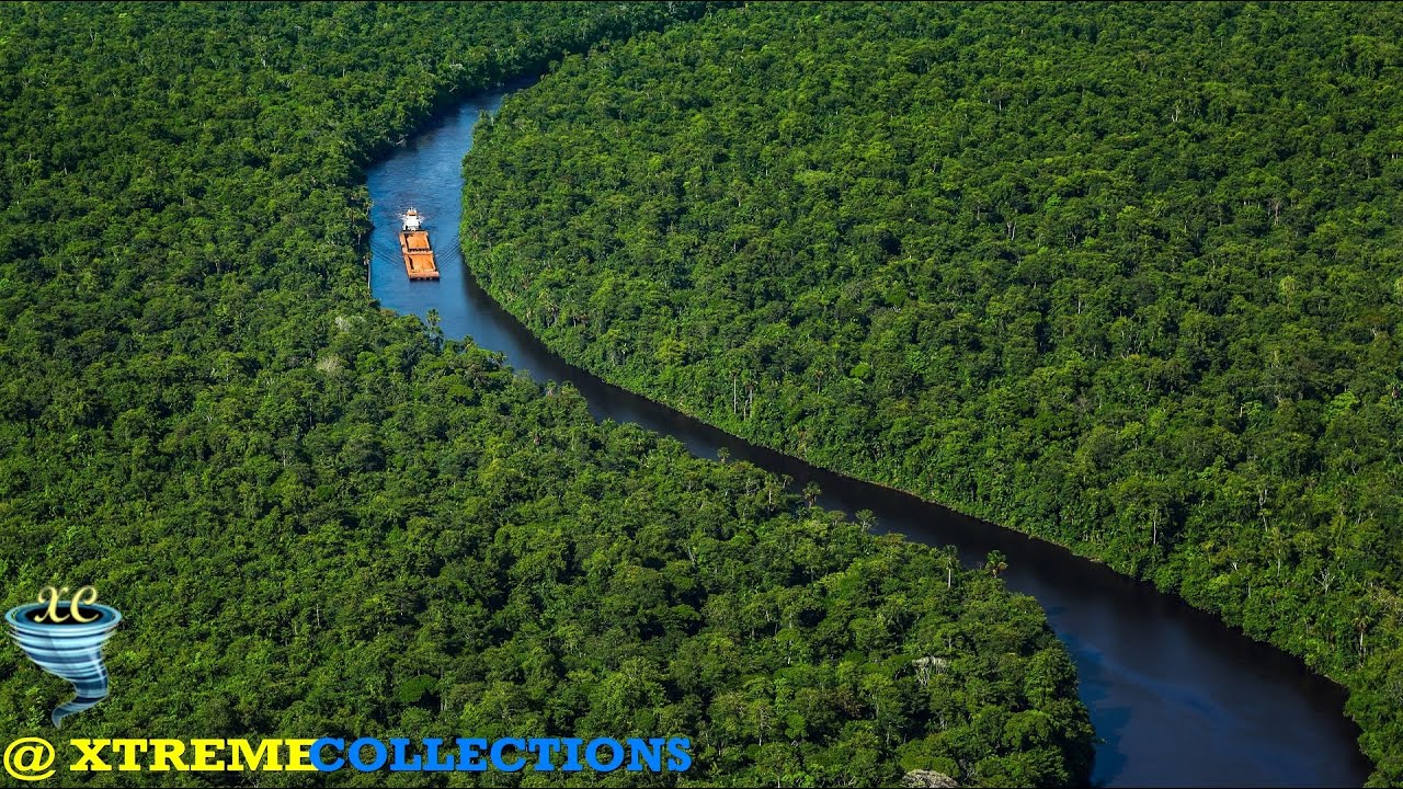 Commewijne River in Paramaribo, Suriname - YouTube