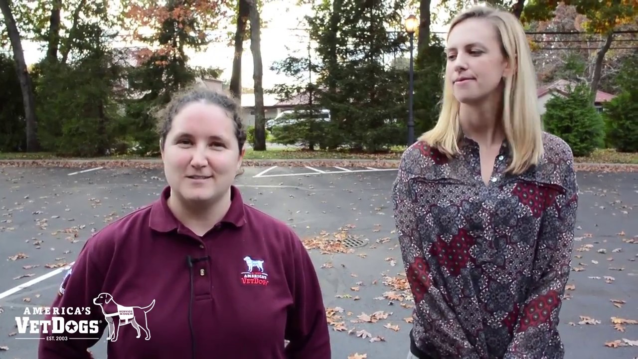America's VetDogs Charlie Training Update - Settle - YouTube