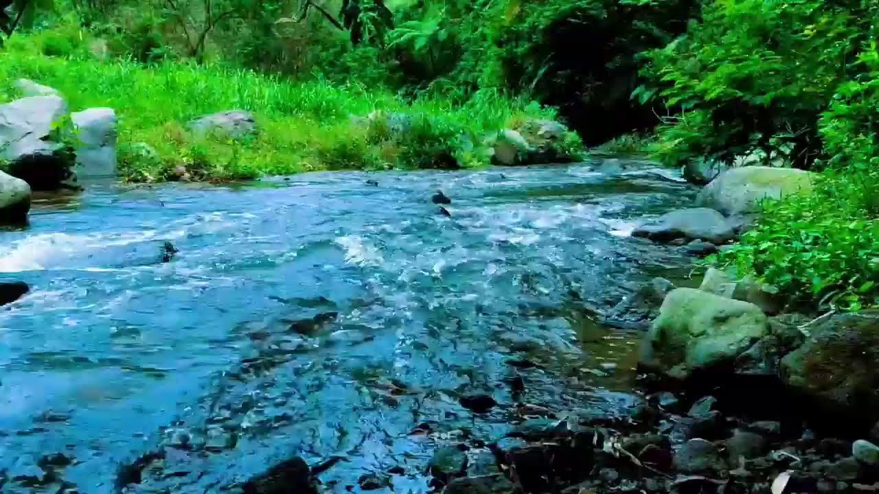 Nature Sounds Waterfall River Relaxation Meditation | Relaxing Calm ...