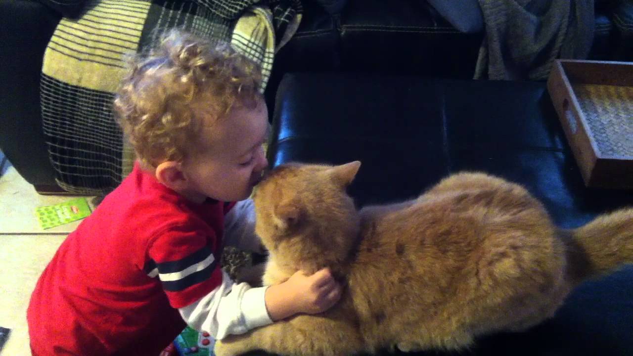A Very Tolerant Cat and one cute little Boy! - YouTube
