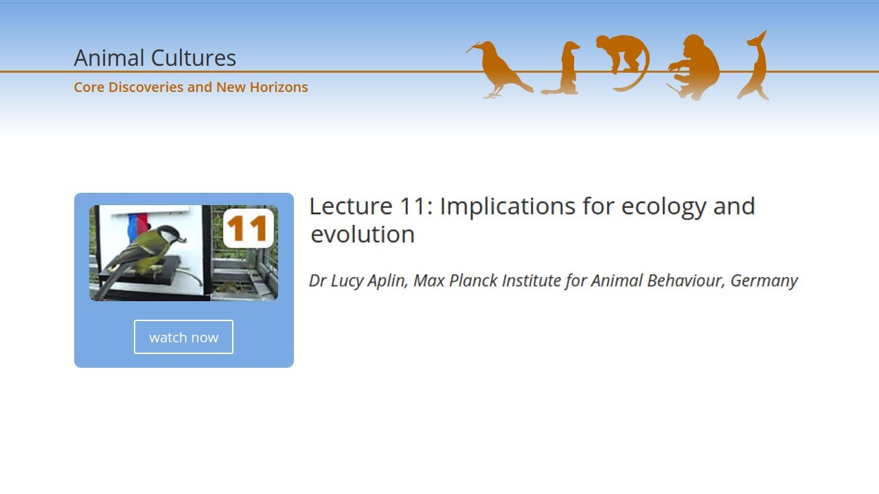 Animal Cultures : Lecture 11 : Implications for ecology and evolution ...