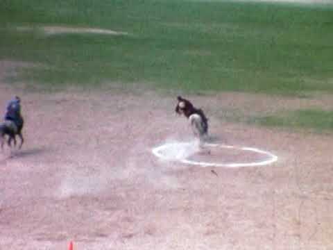 1978 Afghanistan Bushkazi in Kunduz & transit of Salang pass - YouTube