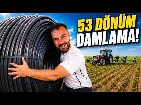 2026’nın İlk Damlama Serimi! 53 Dönüm Mısır | Tarım Vlog