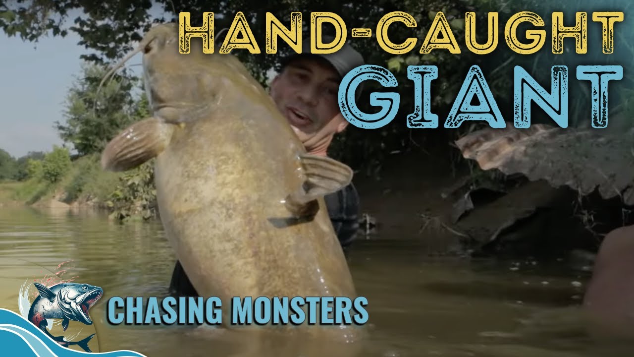Tricky Catfish NOODLING! - Chasing Monsters - Fishing Show - YouTube