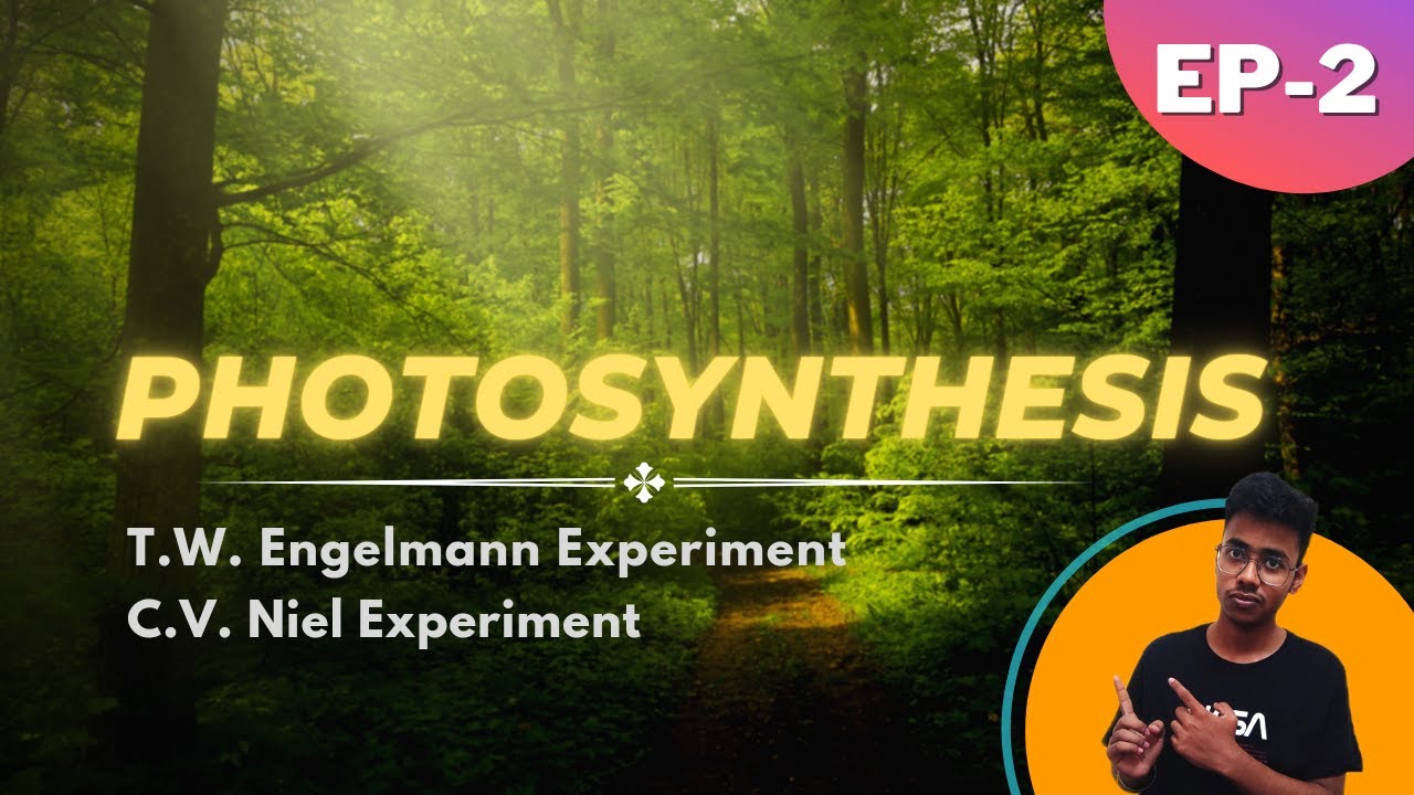 Photosynthesis | T.W. Engelmann & C.V. Niel Experiments | EP-2 | NEET ...