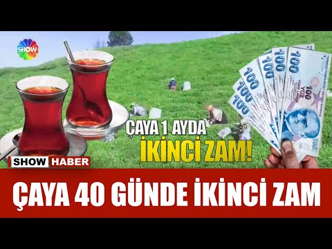 Son zamla çayın kilosu 126 TL oldu