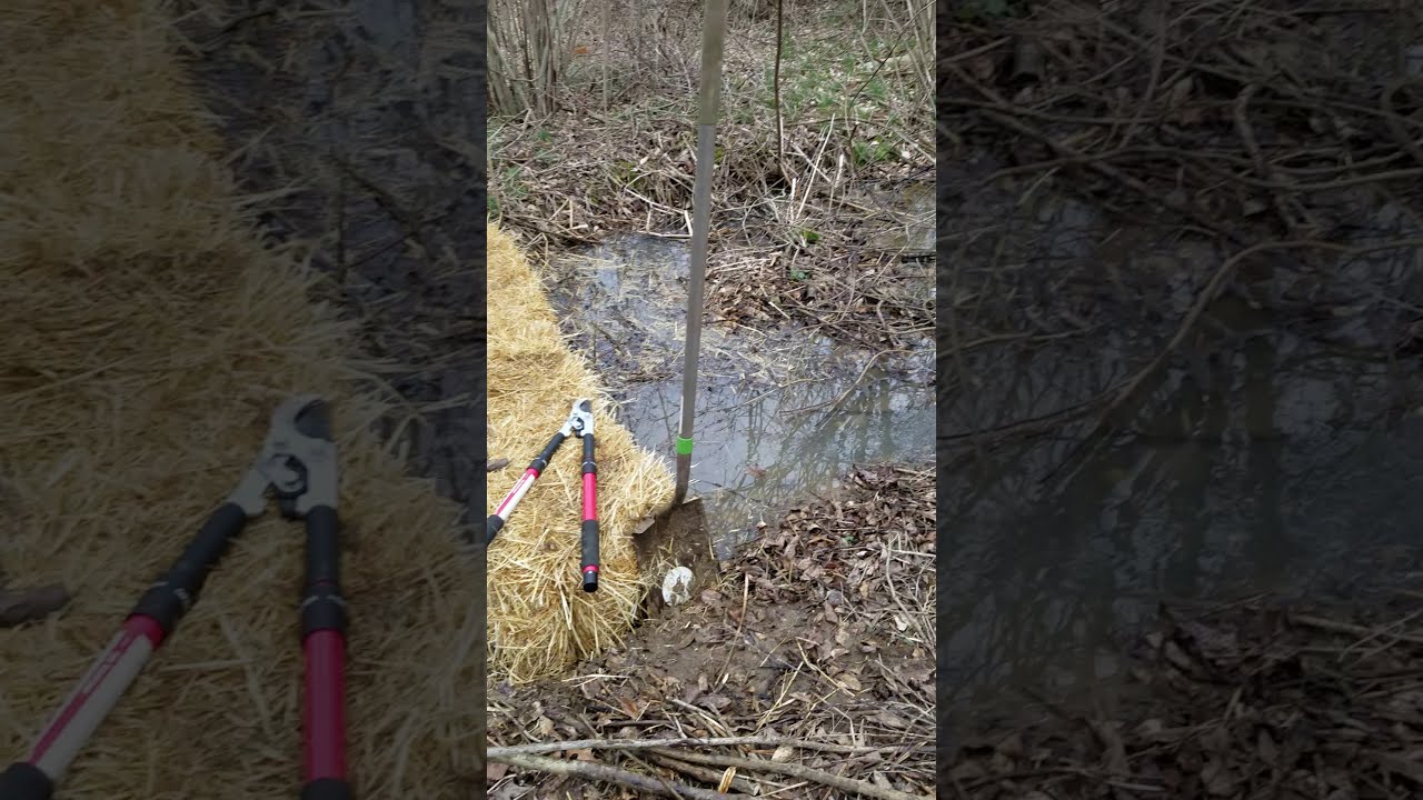 Stream Restoration: Straw Bale Check Dam - YouTube