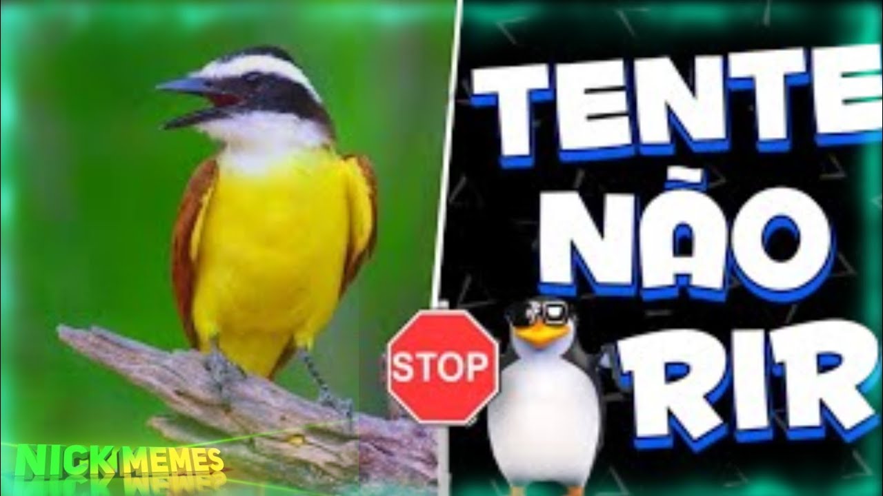 (MEMES E SHITPOSTS) compilado | TENTE NÃO RIR #31 - Nick Memes - YouTube