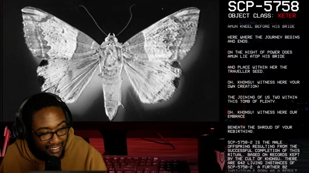 SCP Reaction │SCP-5758 │ The Moth Tide │ Keter - YouTube