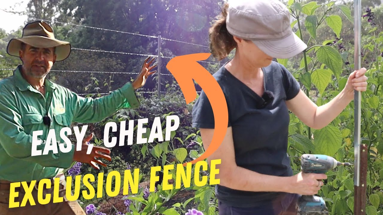 Clever Post Extensions Solve Deer Problem - YouTube