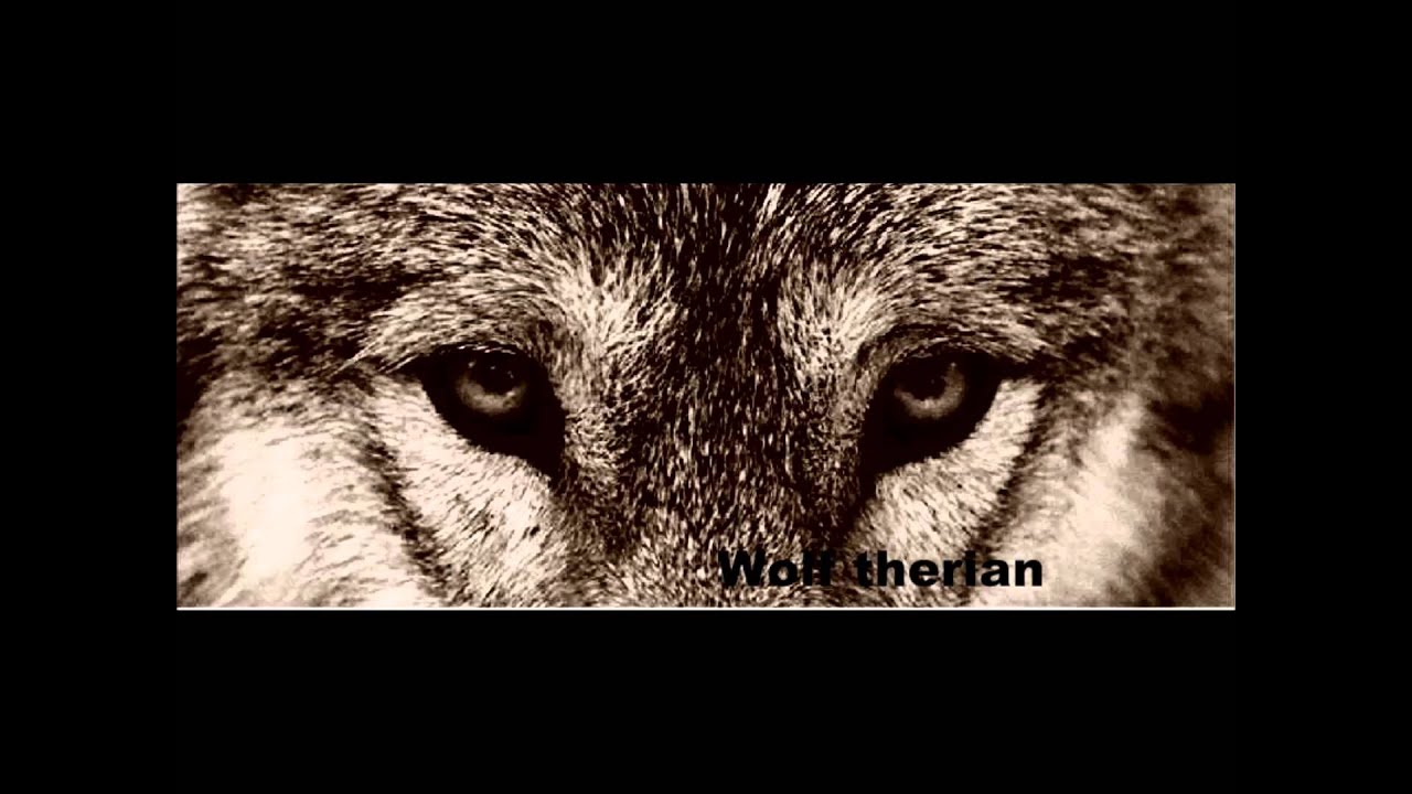 Therian/Otherkin/Teen Wolf - Tribute video - YouTube