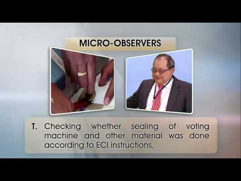 Micro Observer - YouTube