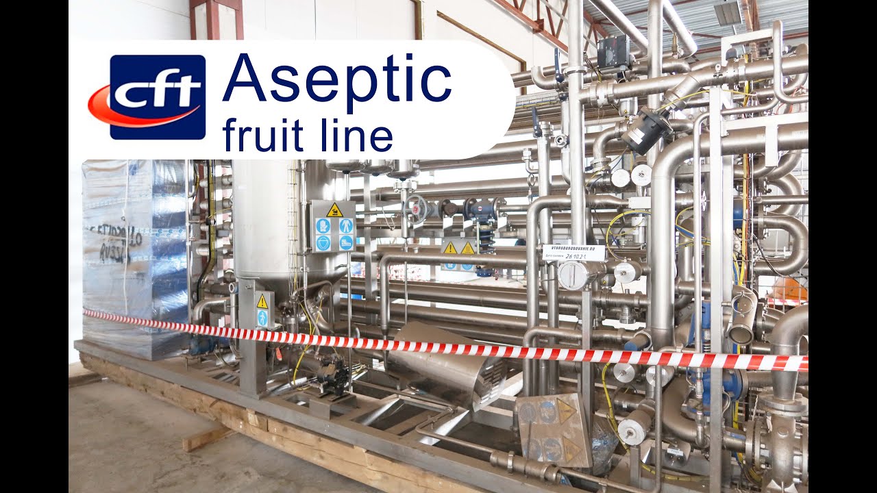 Aseptic line for processing fruits, vegetables and berries in puree CFT ...