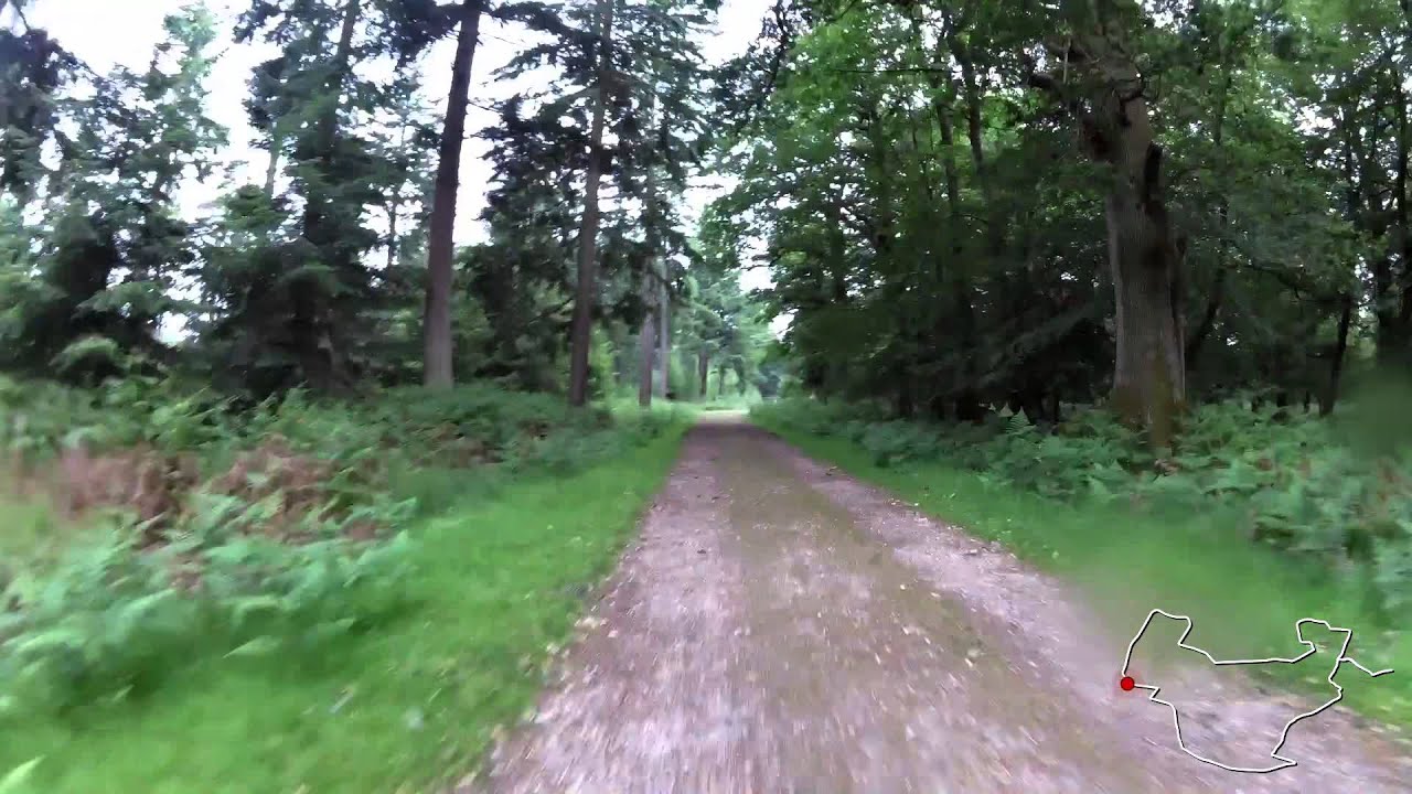 New Forest 10 Mile Race Course - YouTube